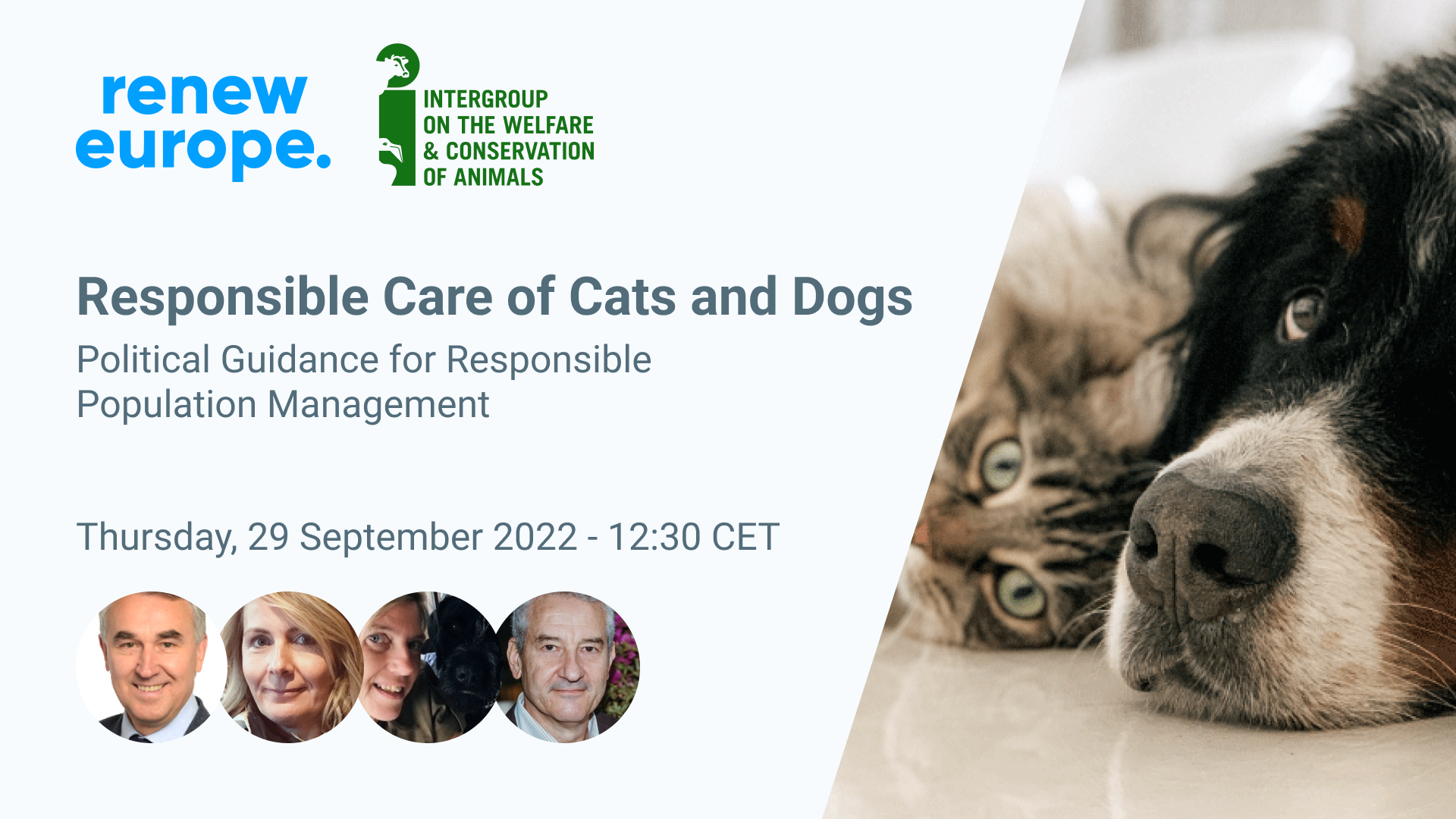 Responsible Care of Cats and Dogs: Political Guidance for Responsible ...